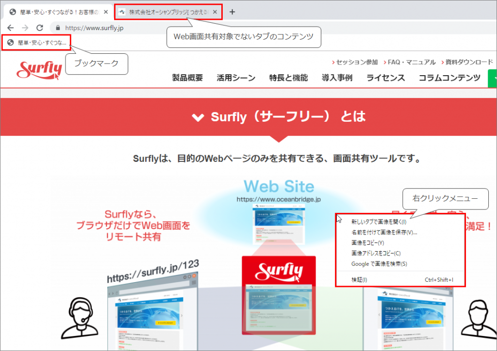 製品概要 - Surfly
